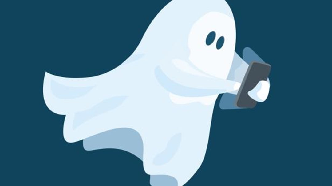 Ghost Ne Demek? Ghost Kelimesinin Anlamı Nedir? - MarkaHost